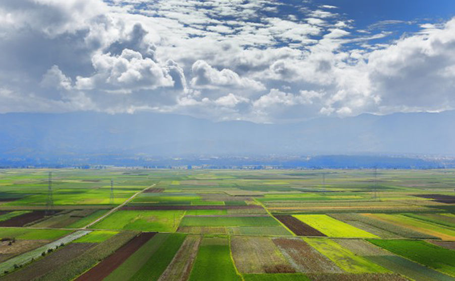 OPEN PLOTS |SURYA INFRATECHH DEVELOPERS & SURYA PROJECTS